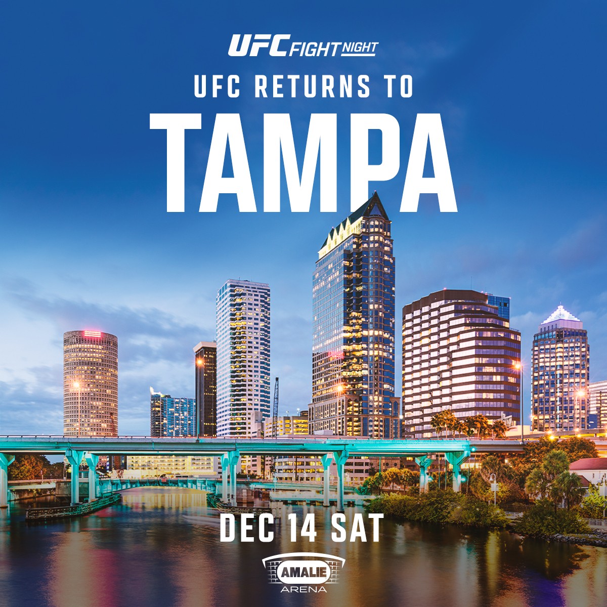 UFC Tickets | Official UFC Ticket Packages with Exclusive Access from ...