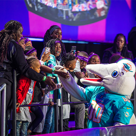 Official 2026 NFL Pro Bowl Ticket Packages | Direct from the NFL